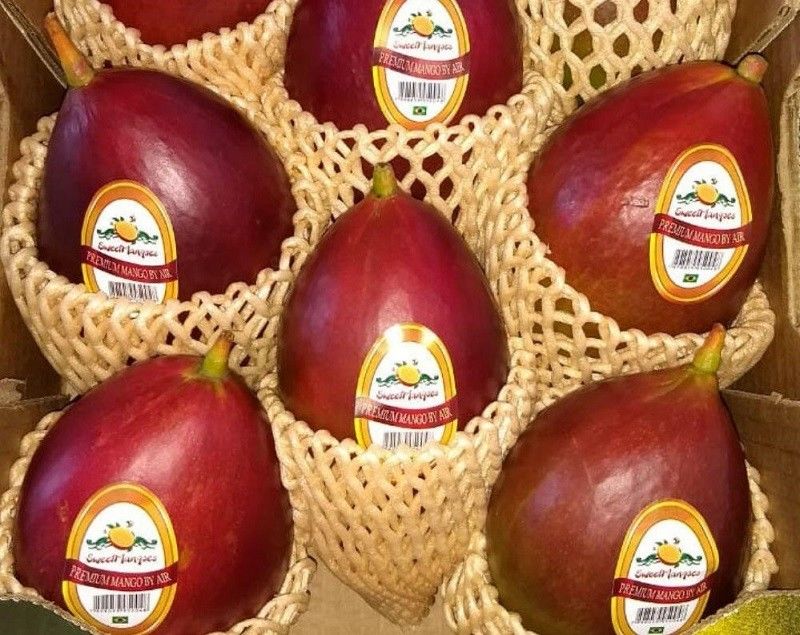 Fruit Mango Foam Net Double Layers EPE Materials